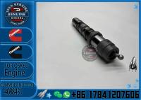 China Fuel Injector 4088431 4087889 4076533 for  QSK23 QSK19 Diesel Engine Fuel Injector Construction Machinery Parts for sale