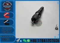 China Fuel Injector 4088431 4087889 4076533 for  QSK23 QSK19 Diesel Engine Fuel Injector Construction Machinery Parts for sale