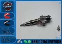China Excavator Accessories Fuel Injector 4327072 4359204 5491659 for  QSL9.3 QSC8.3 for Construction Machinery for sale