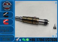 China New 2894920PX 2058444 2482244 2031386 Common Rail Injector for ISZ13 Excavator Diesel Fuel DC09 DC16 DC13 for sale