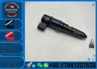 China New Diesel Common Rail Injector 3406604 3411821 3071497 3087648 4914328 3018835 3079946 for C-ummins M11 Engine Steel Material for sale