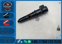 China New Diesel Common Rail Injector 3406604 3411821 3071497 3087648 4914328 3018835 3079946 for C-ummins M11 Engine Steel Material for sale