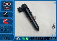 China Factory Is Selling in High Demand the Components of Diesel Engines Diesel Fuel Injector 4914328 3071497 for NT855 Diesel Engine for sale