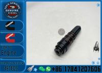 China Sufficient Stock Diesel Engine Injector Nozzle Assy 3032392/4914308/4914325 for NT855 Excavator Shantui Bulldozer SD22 Stainless for sale