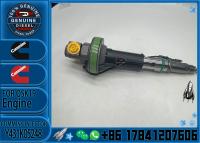 China Remanufactured New diesel Fuel Injector 4955526 Y431K05199 Y431K05248 for QSK50 QSK38 QSK19 Engine for sale