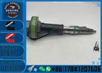 China Remanufactured New diesel Fuel Injector 4955526 Y431K05199 Y431K05248 for QSK50 QSK38 QSK19 Engine for sale