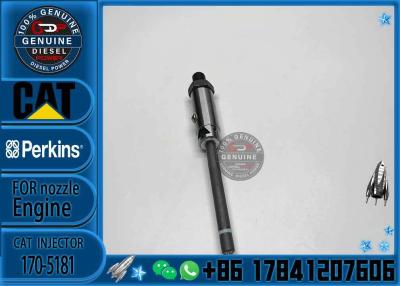 China High-Quality Diesel Fuel Injector Nozzle 8N7005 170-5181 4W-7018 & More, Engine Parts Pencil Nozzle for Heavy Machinery for sale
