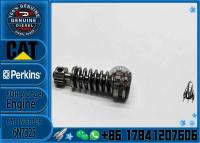 China Excavator Engine 3306 Fuel Injection Pump Plunger 4P9830 7W6929 1W6541 1P6400 6N7525 6N7527 1086633 for sale