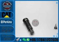 China PUMP PLUNGER 1W6541 6N7527 7W5929 for CAT3304 3306 for sale