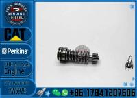 China PUMP PLUNGER 1W6541 6N7527 7W5929 for CAT3304 3306 for sale