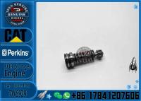 China PUMP PLUNGER 1W6541 6N7527 7W5929 for CAT3304 3306 for sale