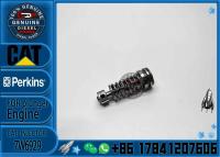China Excavator Engine 3306 Fuel Injection Pump Plunger 4P9830 7W6929 1W6541 1P6400 6N7525 6N7527 1086633 for sale