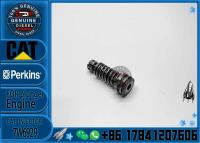 China Excavator Engine 3306 Fuel Injection Pump Plunger 4P9830 7W6929 1W6541 1P6400 6N7525 6N7527 1086633 for sale