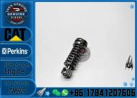 China Excavator Engine 3306 Fuel Injection Pump Plunger 4P9830 7W6929 1W6541 1P6400 6N7525 6N7527 1086633 for sale