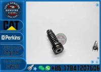 China Excavator Engine 3306 Fuel Injection Pump Plunger 4P9830 7W6929 1W6541 1P6400 6N7525 6N7527 1086633 for sale