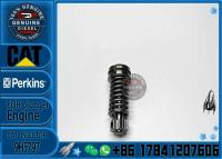 China Spring-loaded Plunger High Quality diesel Fuel Parts Plunger 9H5797 3919891 CA9H5797 Plunger Barrel for sale