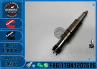 China Common Rail Injector 1948565 2058444 2482244 4327147 4384413 5579417 5579421 for sale