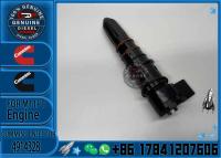 China New Genuine Diesel Fuel Injector Assy 3349860 4914328 3071497 for K38 QSK38 K50 KTA50 OEM Fuel Injector 3609962 for sale