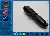 China New 3016675 3016676 3054218 3054220 3054228 3053124 207588 3001485 Common Rail Fuel Injector for Cum-mins KTA19 QSK19 KTA38 KTA50 for sale