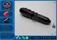 China 3406604 3066176 New Fuel Injector Replacement for M11 QSM11 ISM11 Diesel Engine 3064881 3406604PX for sale