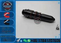 China 3406604 3066176 New Fuel Injector Replacement for M11 QSM11 ISM11 Diesel Engine 3064881 3406604PX for sale