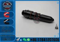 China 3406604 3066176 New Fuel Injector Replacement for M11 QSM11 ISM11 Diesel Engine 3064881 3406604PX for sale