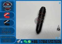 China 3054226 4914453 4914537 4914325 4914308 Premium PT Fuel injector Assembly series for engine Diesel Fuel injection system for sale