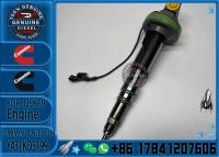 China High Quality Fuel Injector 4358048 Y431K06139 Y431KO5199 for QSK19 ENGINE for sale