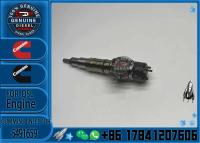 China Excavator Accessories Fuel Injector 4327072 4359204 5491659 for Cum-mins QSL9.3 QSC8.3 for Construction Machinery for sale