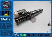 China 250-1313 250-1304 250-1311 High Precision Fuel Injector for 3516B 3512B Excavator C12 3516B 3512B diesel Engine for sale