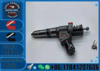 China Diesel Fuel Injector 3411767 3411766 3411765 3411763 3083662 for N14 Engine for sale