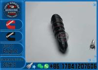 China 3016675 3054219 3054218 3053124 Premium PT Fuel injector Assembly series for K-PTD engine Diesel Fuel injection system for sale