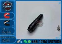 China High Quality Fuel Injector 3027588 3045281 3801128 3037229 3028066 3045102 for Engine L10 LTA10 for sale