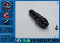 China Original New NT855 NTA855 Marine Engine Fuel Injector Nozzle 3030445 3047973 for sale