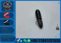 China NT855 Engine Fuel Injector Nozzle Assembly 3060947 3054218 3054253 for Construction Machinery Parts for sale