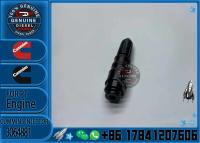 China Engineering Machinery PTN855 Truck Engine System Accessories 3013725 3064881 Diesel Fuel Injector for sale