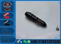 China Engineering Machinery PTN855 Truck Engine System Accessories 3013725 3064881 Diesel Fuel Injector for sale