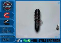 China Engineering Machinery PTN855 Truck Engine System Accessories 3013725 3064881 Diesel Fuel Injector for sale