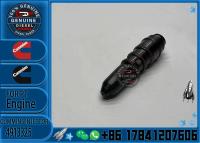 China Common Rail Fuel Injector 4913325 3054228 3069767 for sale