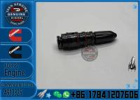 China Common Rail Fuel Injector 4913325 3054228 3069767 for sale