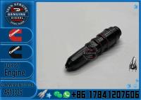 China Common Rail Fuel Injector 4913325 3054228 3069767 for sale