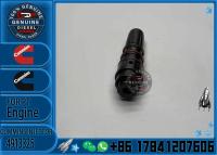 China Common Rail Fuel Injector 4913325 3054228 3069767 for sale