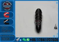 China 3054216 4914453 4914537 4914325 4914308 Premium PT Fuel injector Assembly series for N-PTD engine Diesel Fuel injection system for sale
