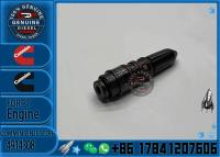 China 3054216 4914453 4914537 4914325 4914308 Premium PT Fuel injector Assembly series for N-PTD engine Diesel Fuel injection system for sale