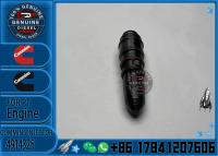 China 3054216 4914453 4914537 4914325 4914308 Premium PT Fuel injector Assembly series for N-PTD engine Diesel Fuel injection system for sale