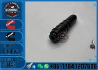 China 3054216 4914453 4914537 4914325 4914308 Premium PT Fuel injector Assembly series for N-PTD engine Diesel Fuel injection system for sale