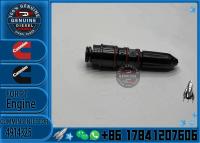 China 3054216 4914453 4914537 4914325 4914308 Premium PT Fuel injector Assembly series for N-PTD engine Diesel Fuel injection system for sale