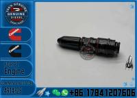China 3054216 4914453 4914537 4914325 4914308 Premium PT Fuel injector Assembly series for N-PTD engine Diesel Fuel injection system for sale