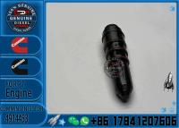 China 3054216 4914453 4914537 4914325 4914308 Premium PT Fuel injector Assembly series for N-PTD engine Diesel Fuel injection system for sale