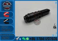 China 4914505 3013725 3018566 3047964 3047985 Premium PT Fuel injector Assembly series for N engine Diesel Fuel injection system for sale